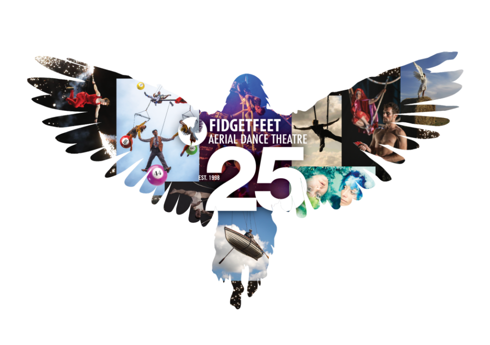 Governance - Fidget Feet Aerial Dance Theatre