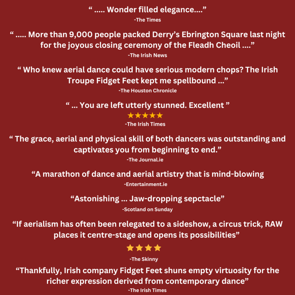 20 Years of Fidget Feet - Fidget Feet Aerial Dance Theatre