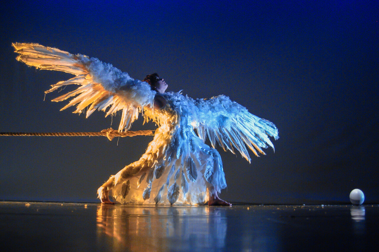 20 Years of Fidget Feet - Fidget Feet Aerial Dance Theatre